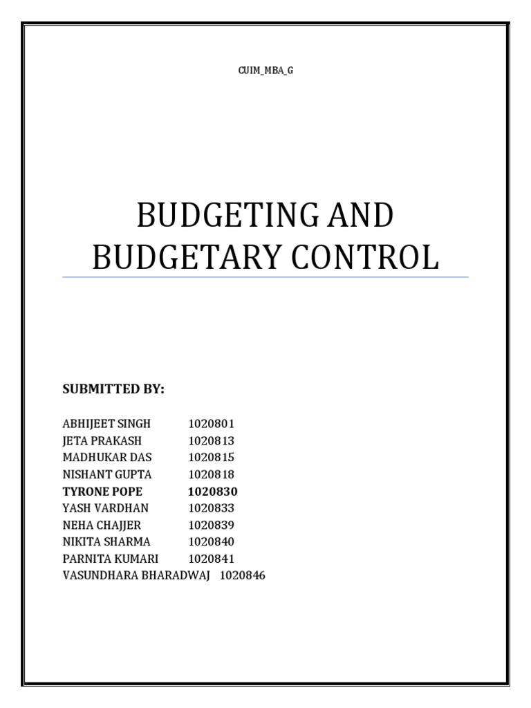 Accounts CIA 2_budget