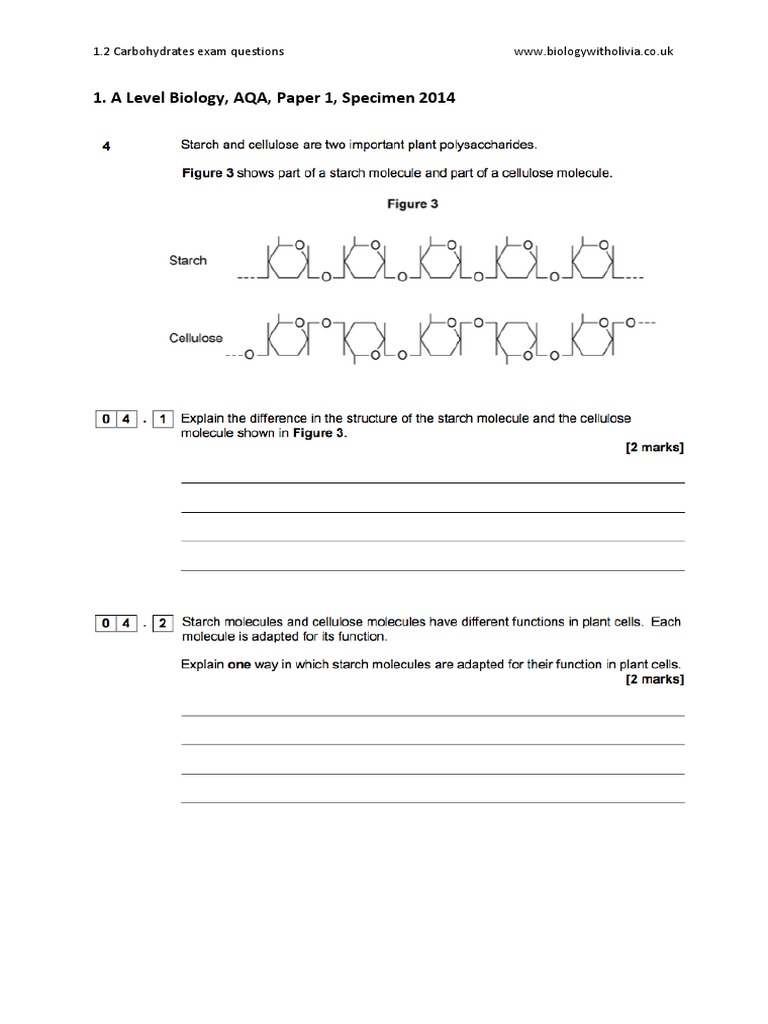 AQA Carbohydrates Exam Questions | PDF | Wellness | Science & Mathematics