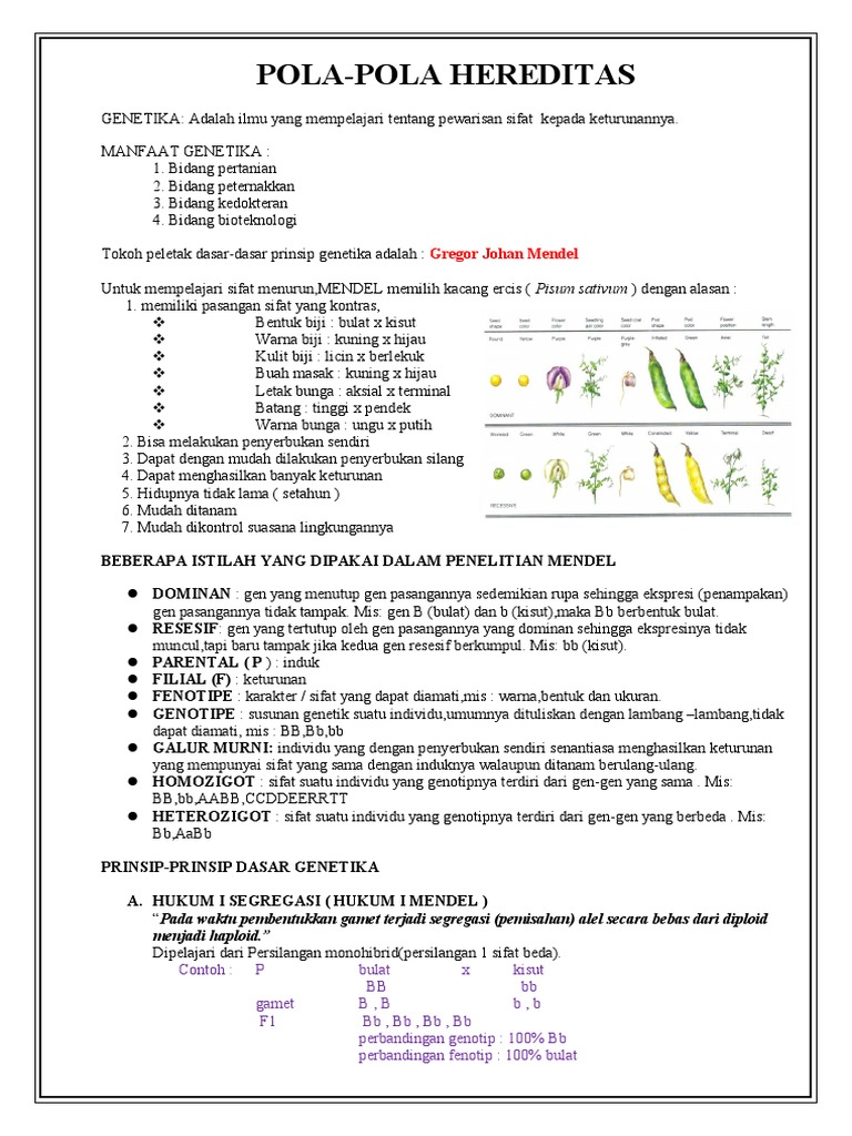 LKPD Dan Materi Pola-Pola Hereditas 1 | PDF