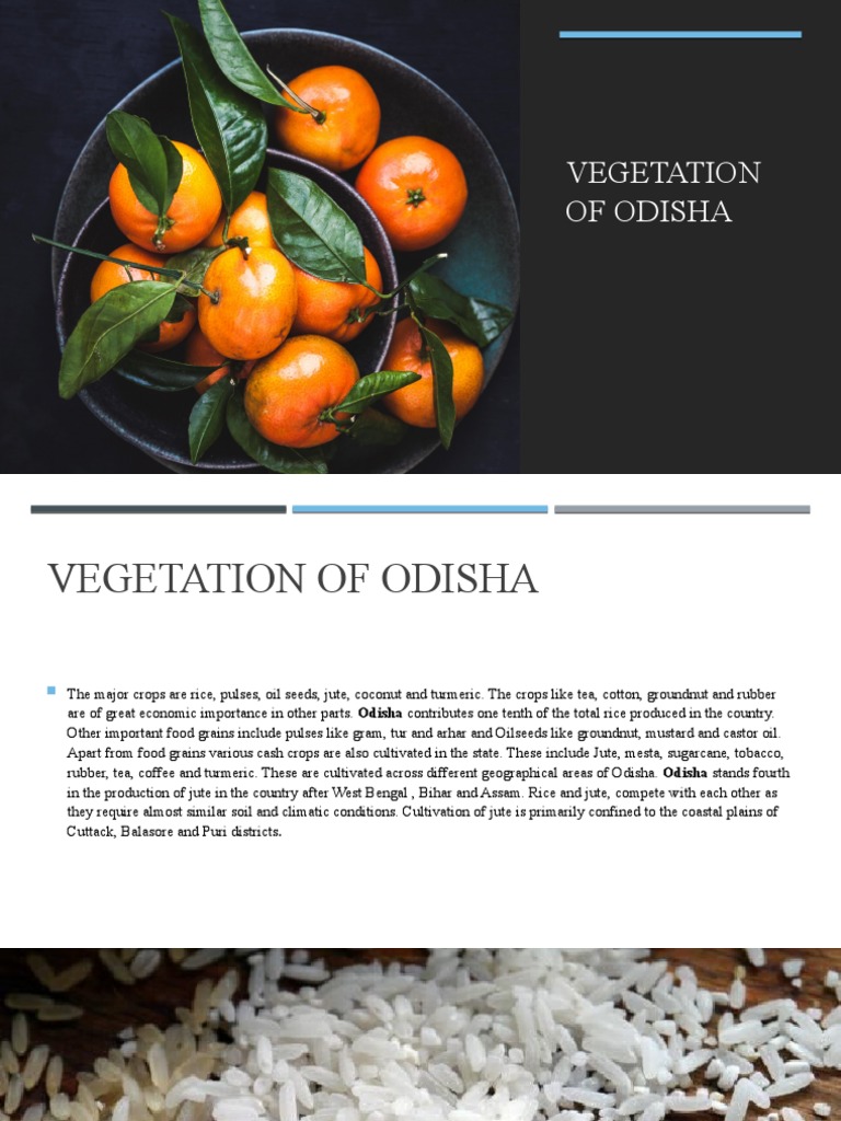 Vegetation and Agriculture in Odisha | PDF | Agriculture | Rice