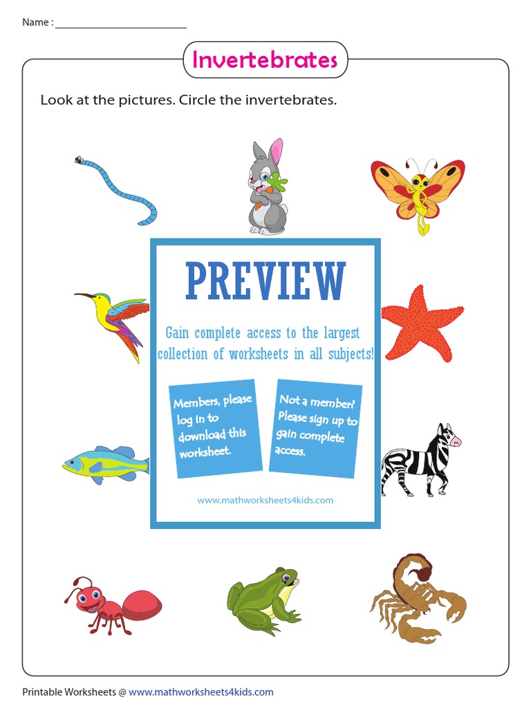 Identify Invertebrates Worksheet | PDF