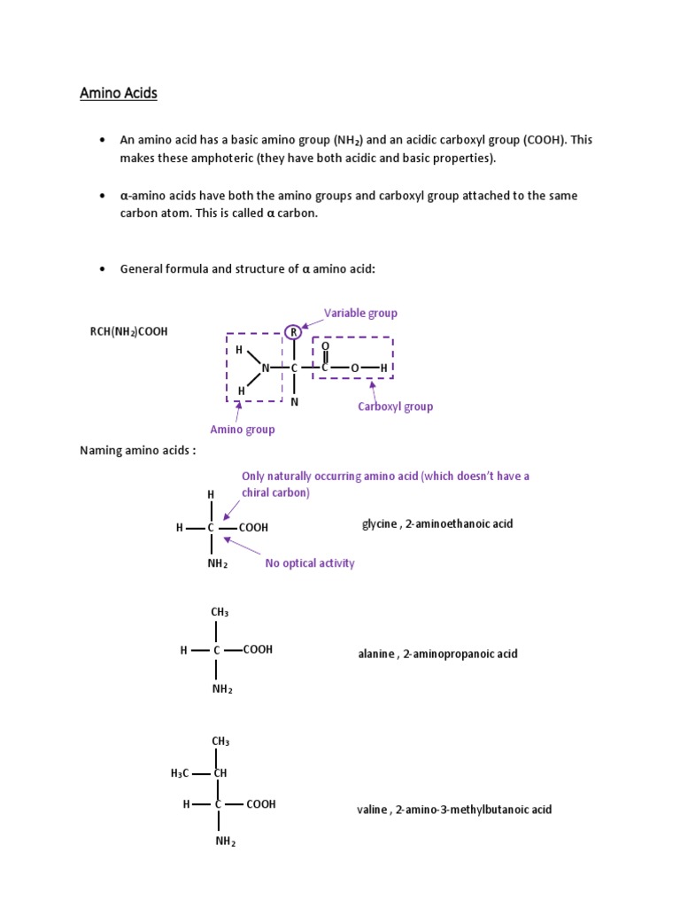 Amino Acid and Biochemistry | PDF | Enzyme | Active Site