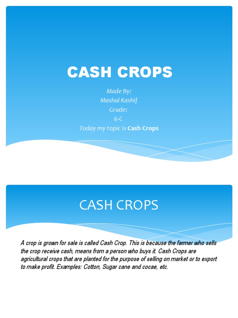 Overview of Cash Crops and Examples | PDF