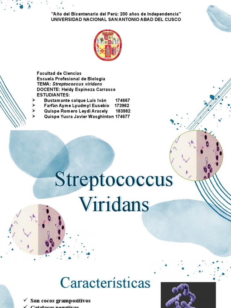 Características y patogenia de S. viridans | PDF | Estreptococo | Medicina