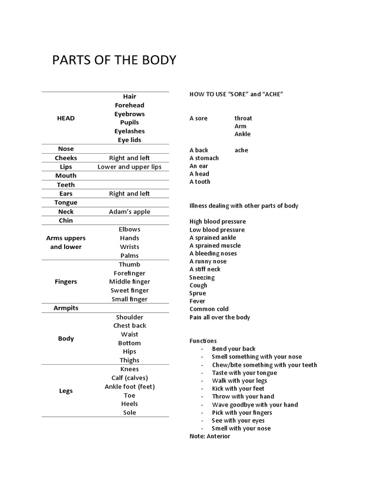 Parts of The Body | PDF | Cancer | Hand