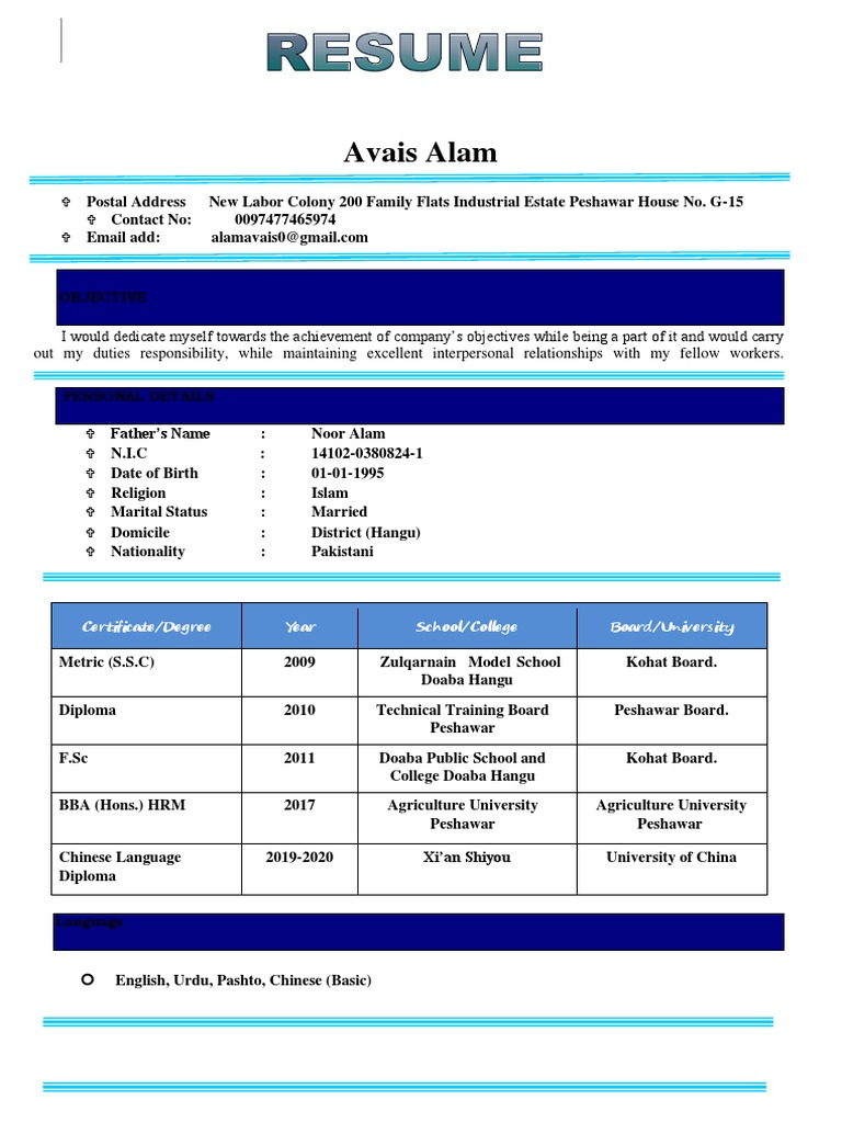 Avais Alam - Professional Resume Summary | PDF