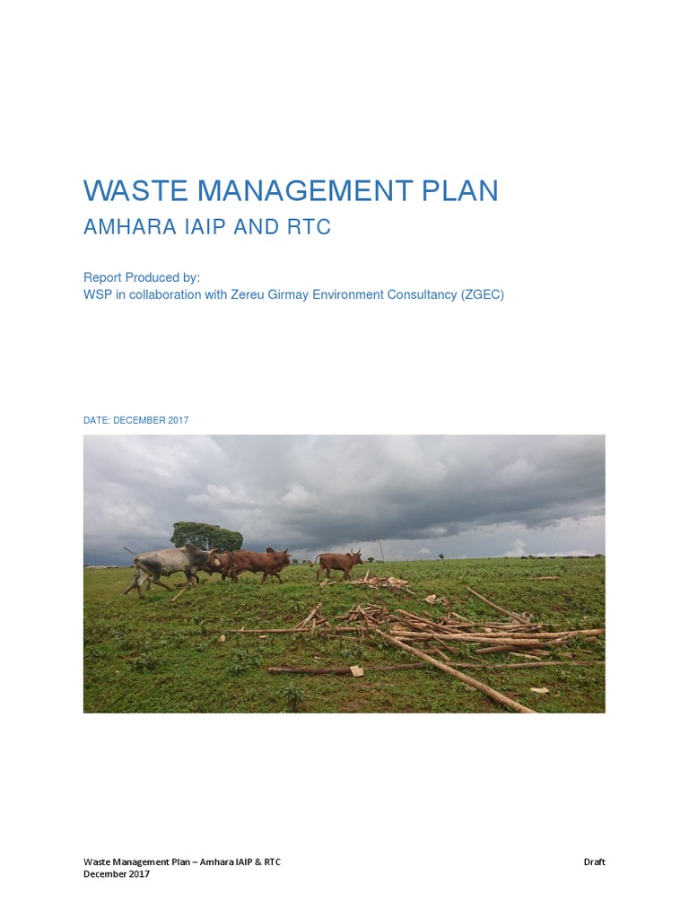 Amhara IAIP Waste Management Plan | PDF | Waste Management | Waste