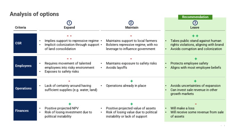 Analysis of Options: Recommendation | PDF | Risk | Investing