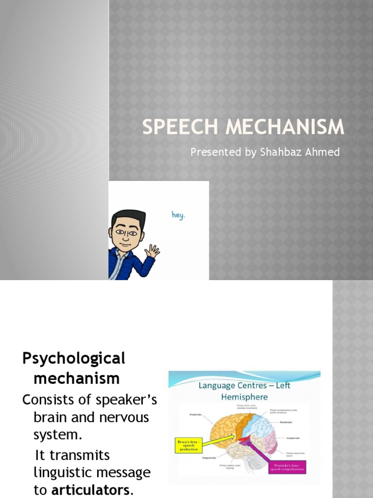 Speech Mechanism: Presented by Shahbaz Ahmed | PDF
