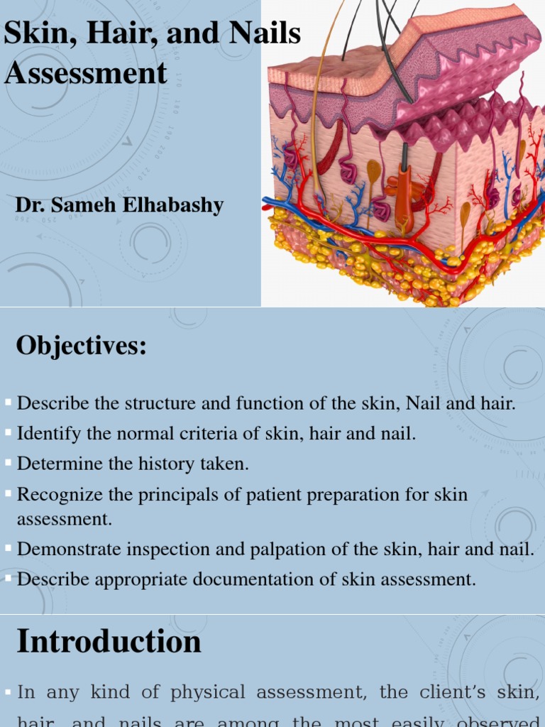 Skin, Hair, and Nails Assessment | PDF | Hair | Nail (Anatomy)