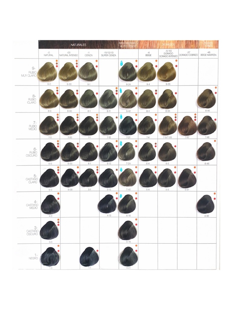 Carta Igora New | PDF