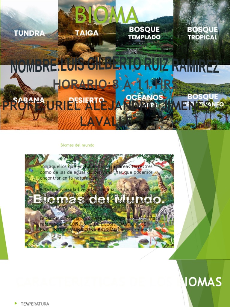 Biomas del Mundo y su Biodiversidad | PDF | Clima | Zona tropical