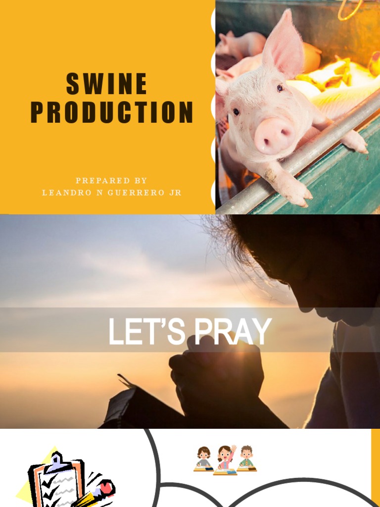 Swine Production | PDF | Domestic Pig | Pork