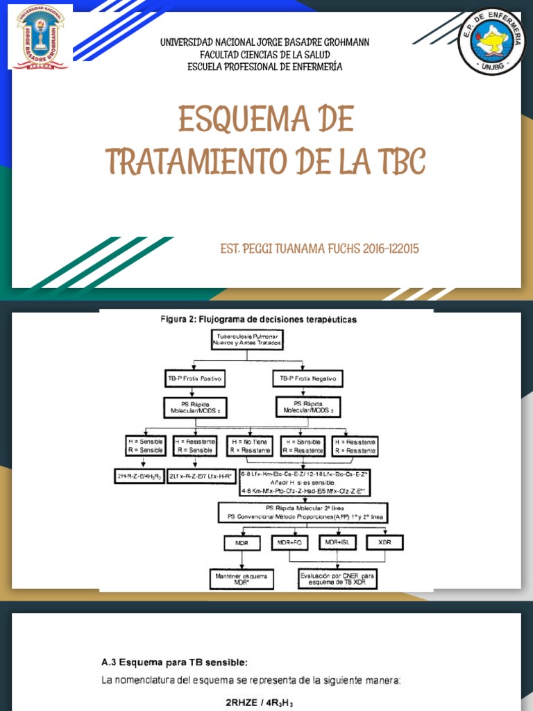 Esquema de Tratamiento de La TBC | PDF