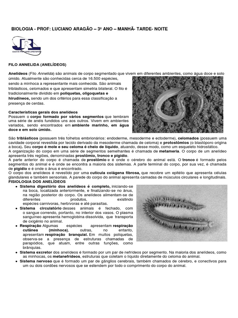 Filo Annelida - Anelídeos | PDF | Zoologia | Biologia