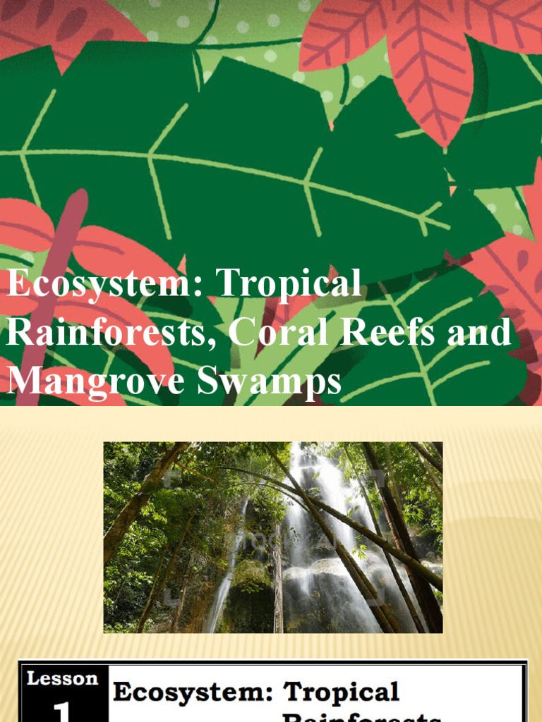SCI-WEEK 6 Ecosystem Tropical Rainforests, Coral Reefs and Mangrove ...