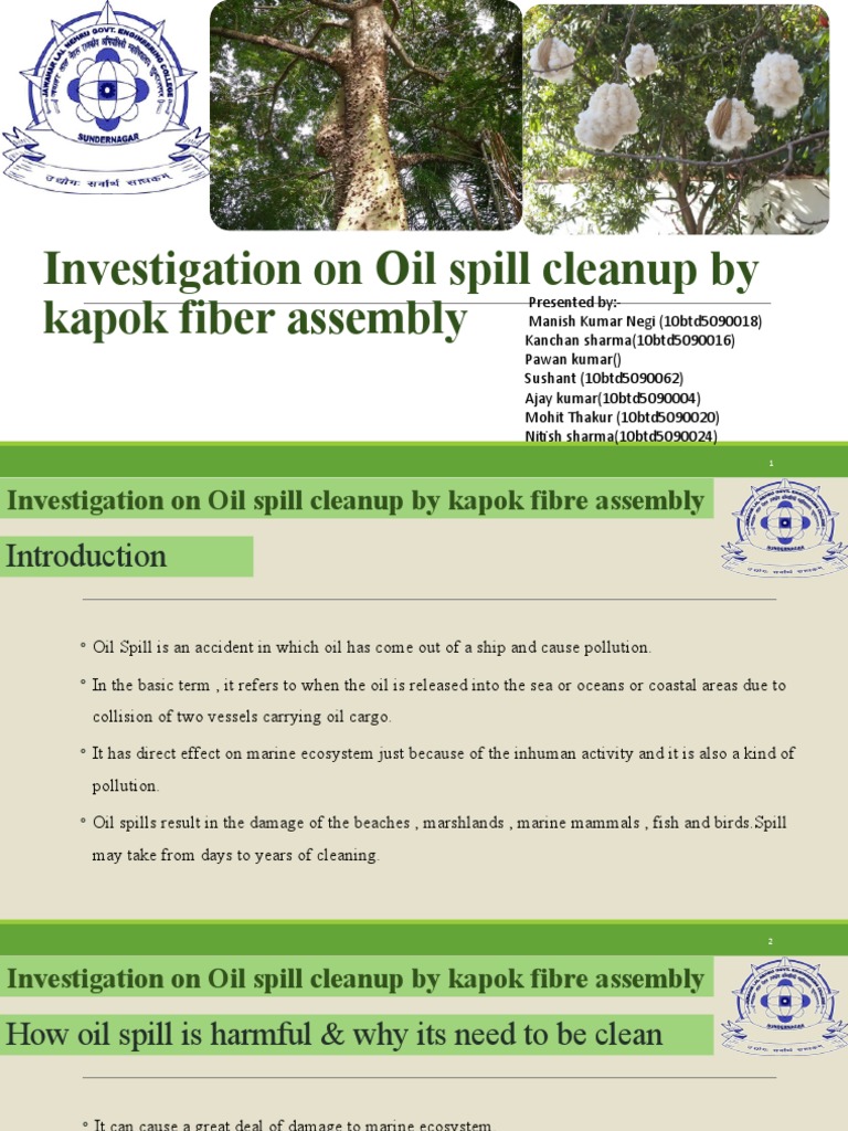 Oil Spill Cleanup | PDF | Oil Spill | Fibers