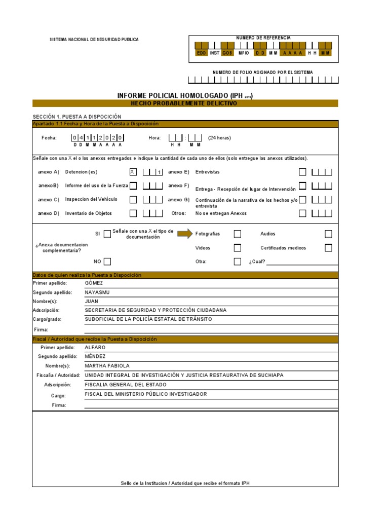 Iph Nuevo Editable | PDF | Queja | Derecho penal