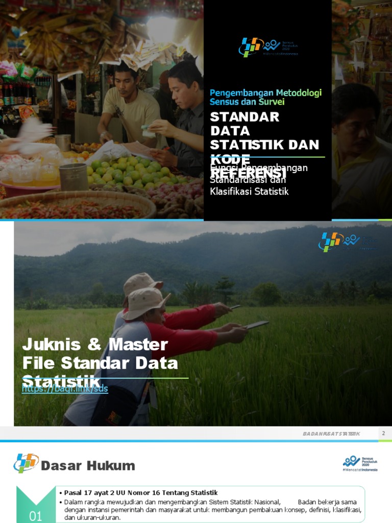 Contoh Pengisian Standar Data Statistik, Sensus Penduduk 2020 | PDF