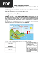 3rd Grade - Water Cycle Worksheet | PDF