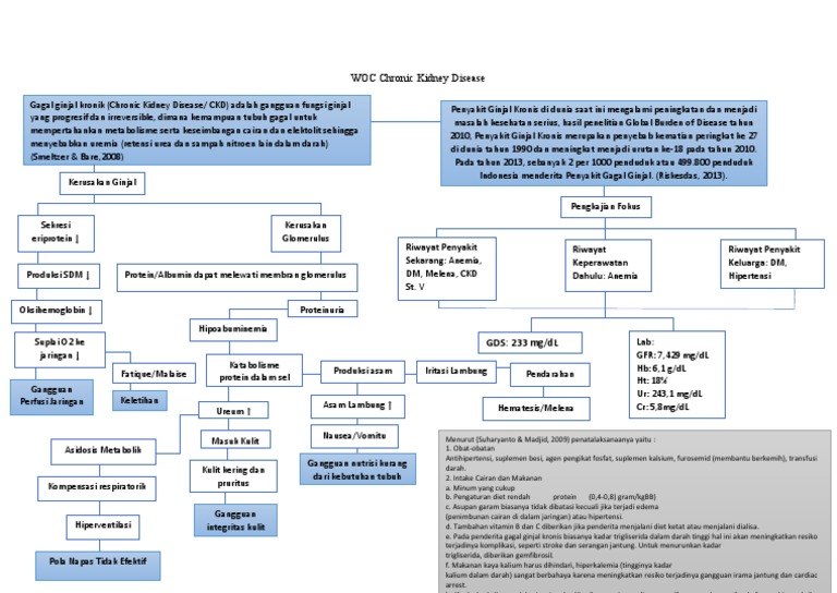 WOC Chronic Kidney Disease | PDF