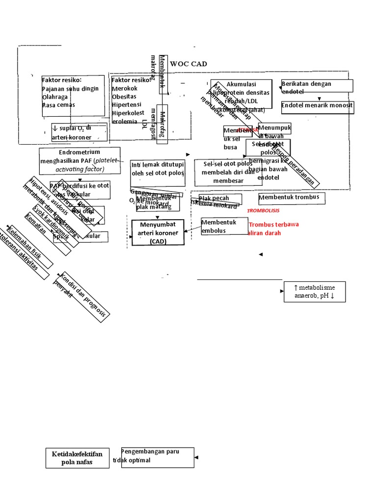 Faktor Resiko: Faktor Resiko:: Woc Cad | PDF