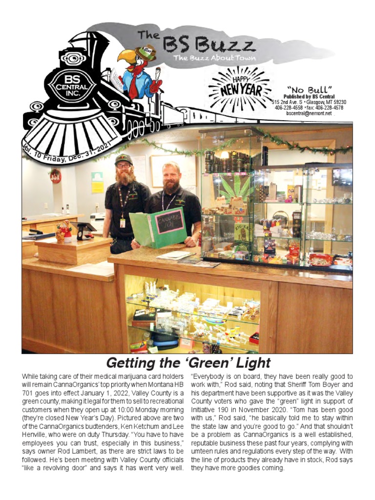 BS Buzz | PDF | Cannabis (Drug) | Driving Under The Influence