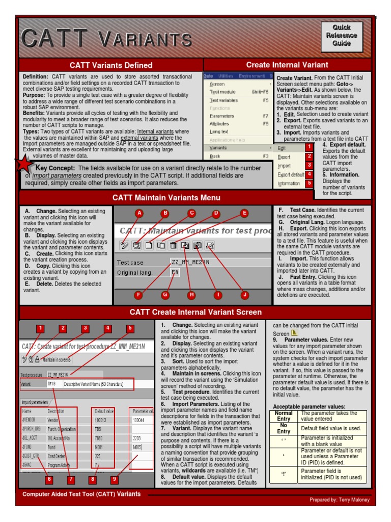 Catt Quick Reference Guide Pdf Microsoft Excel Parameter Computer Programming 