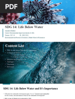 SDG 14: Life Below Water Overview | PDF | Environment | Economy And The ...