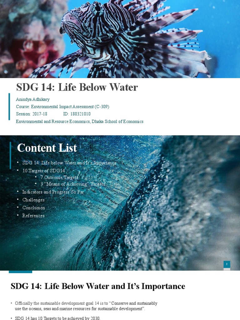 SDG 14 Presentation by Mr. Anindya - DScE | PDF | Overfishing | Environment