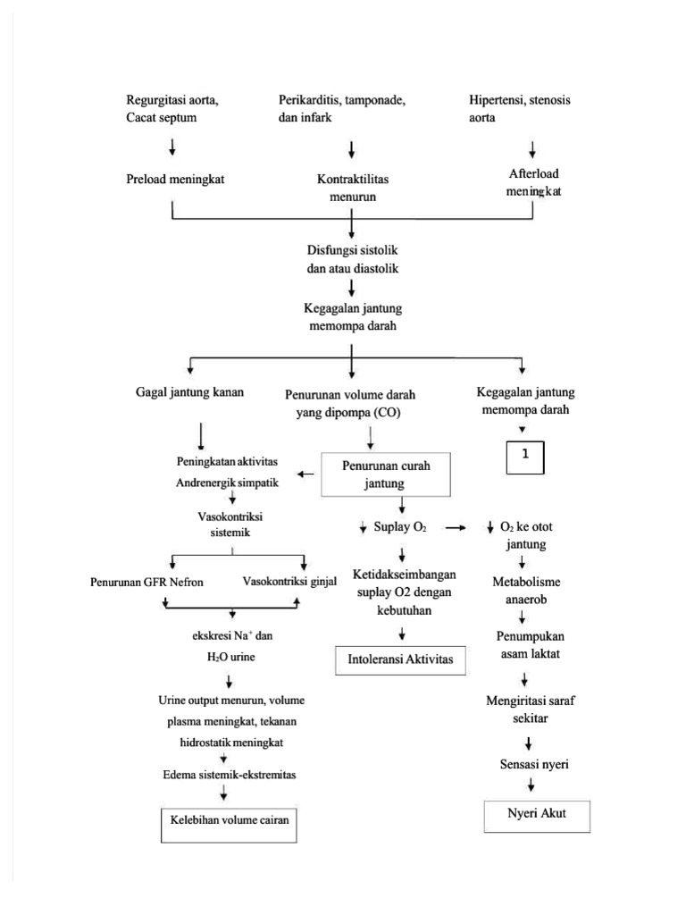 PDF Pathway Adhf - Compress | PDF