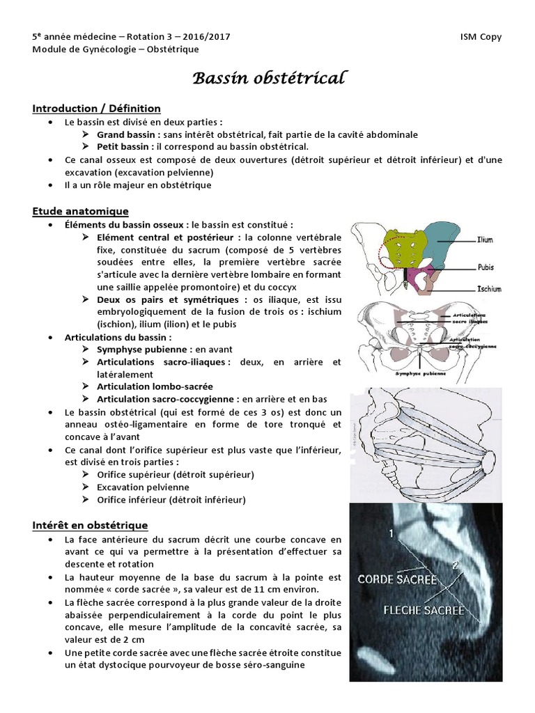 Gyneco05-Bassin Obstetrical | PDF | Bassin (anatomie) | Anatomie