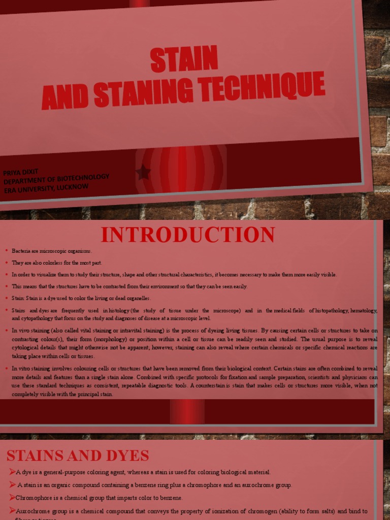 Overview of Staining Techniques | PDF | Staining | Gram Positive Bacteria