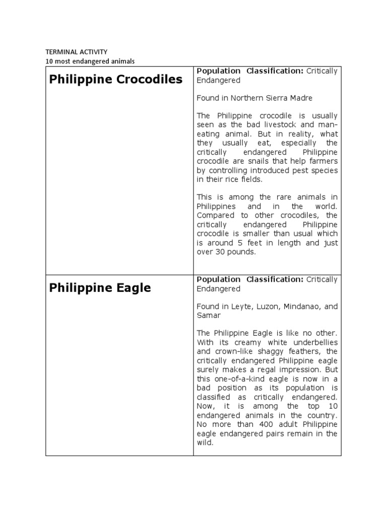 Terminal Activity 3 (Second Quarter) - PEREZ | PDF | Sea Turtle ...