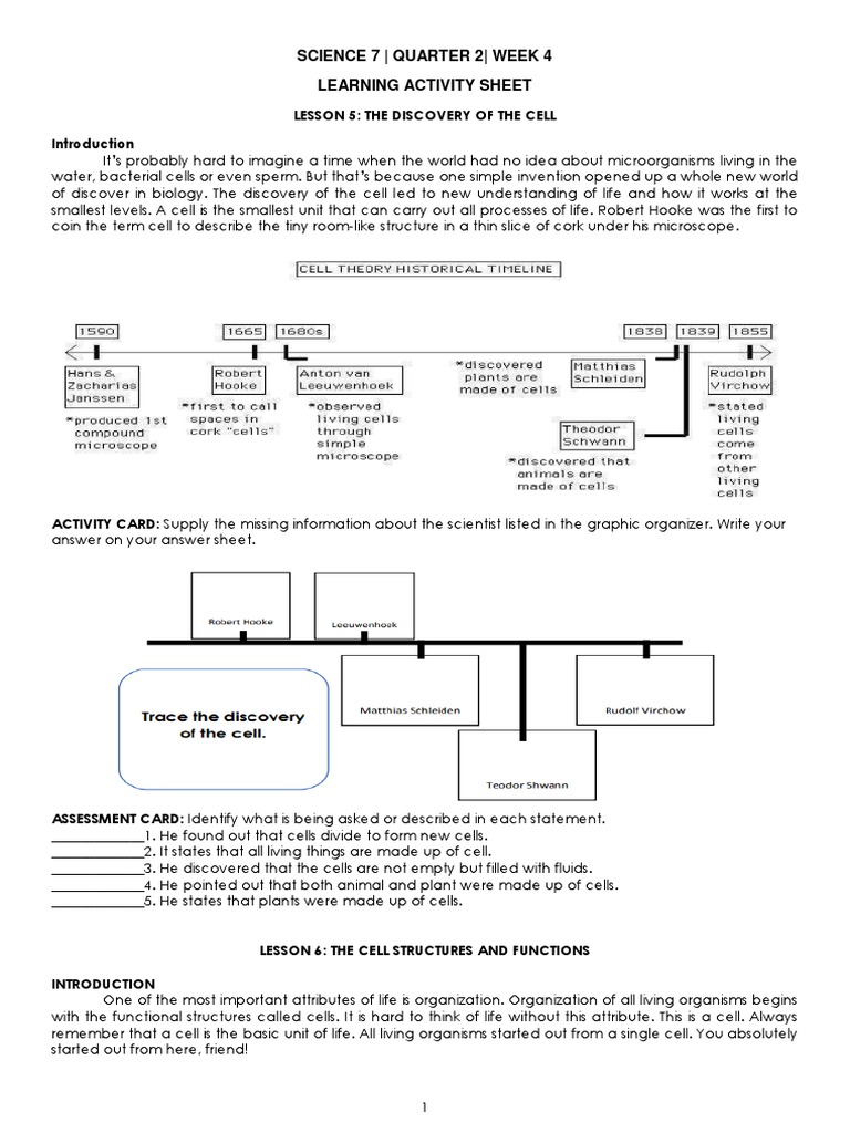 Science 7 - Quarter 2 - Week 4 Learning Activity Sheet | PDF | Cell ...