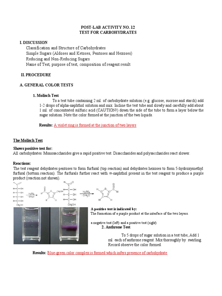 Post-Lab Activity No. 12 Test For Carbohydrates | PDF | Carbohydrates ...
