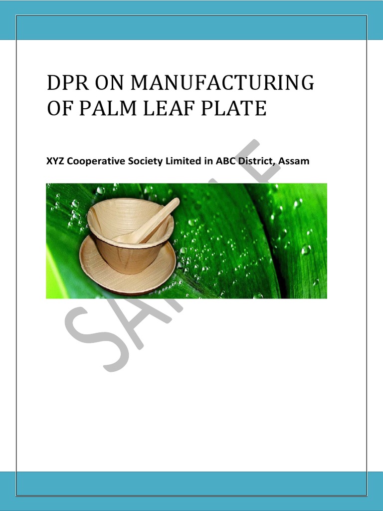 An Insightful Analysis of a Proposed Palm Leaf Plate Manufacturing ...