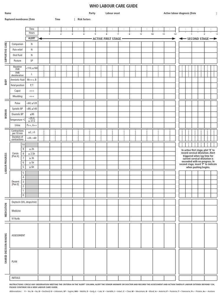 WHO Labour Care Guide at Graph | PDF | Childbirth | Human Pregnancy