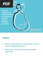 Standard Operating Procedure Manual For Obstetrics and Midwifery ...