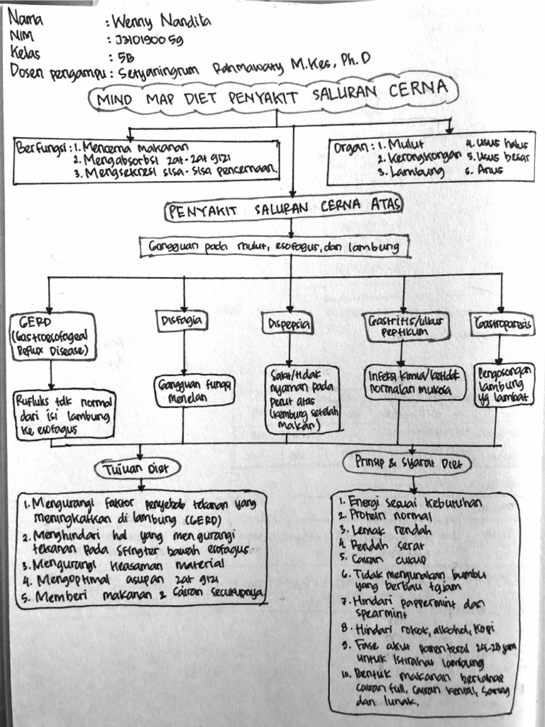 Wenny Nandila - j310190059 - 5b - Mind Map Penyakit Saluran Cerna | PDF