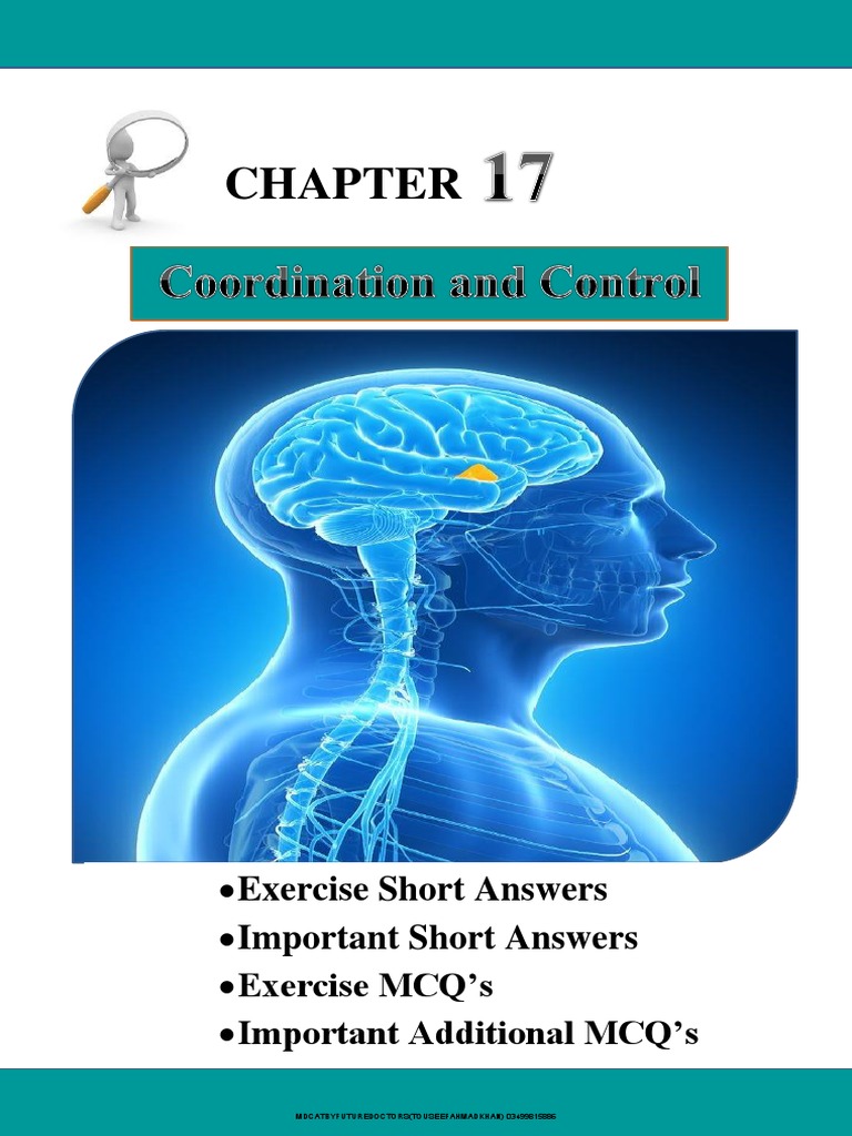 Biology Chapter 17 Study Guide | PDF | Autonomic Nervous System ...