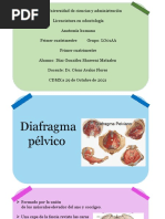 Maniobras en el Parto: Técnicas Clave | PDF | Pelvis | Parto