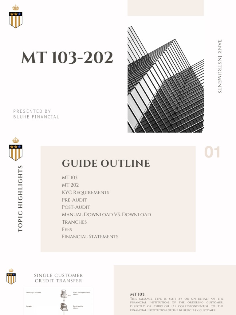 MT 103 202 Guide | PDF | Banks | Payments