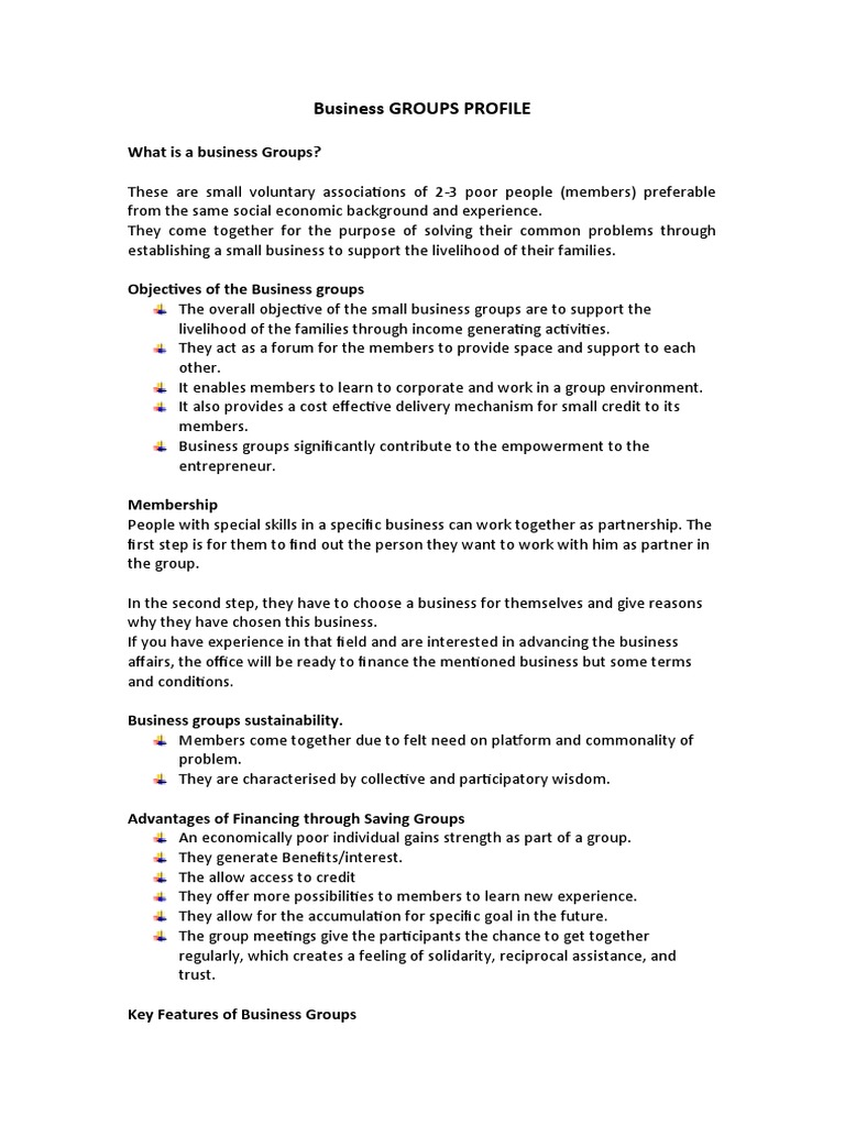 Business Group Profile | PDF | Business | Economies