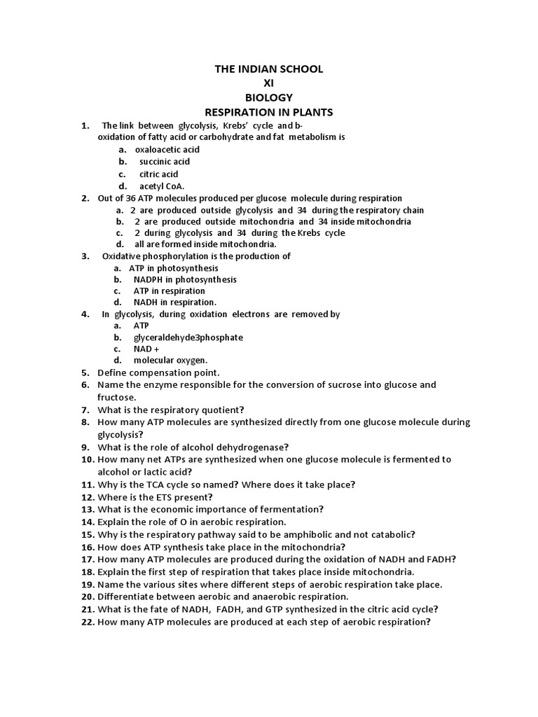 Worksheet Respiration in Plants | PDF