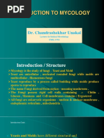 Microbe Mission Science Olympiad Cheat Sheet 2011 | PDF | Fungus ...