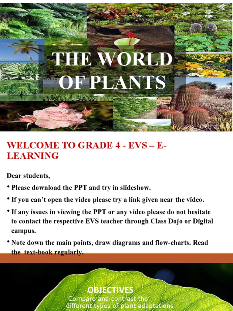 Adaptations in Plants - Terrestrial Habitat | PDF | Leaf | Trees