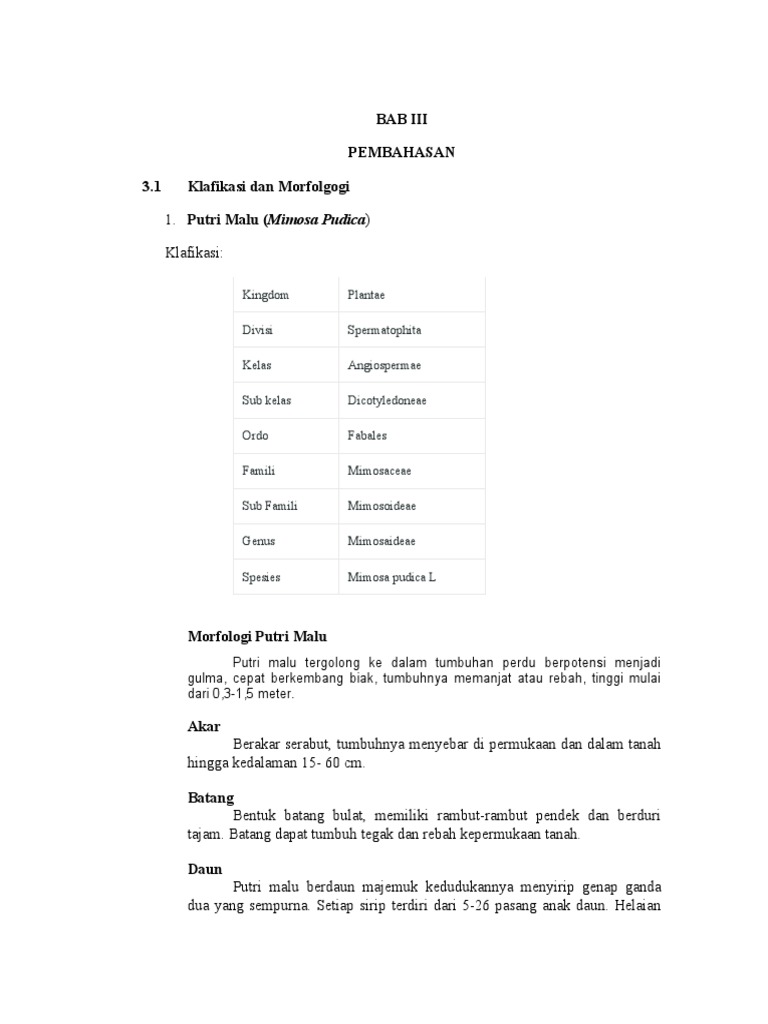 BAB III Struktur Morfologi Dan Anatomi Bunga Kembang Sepatu | PDF
