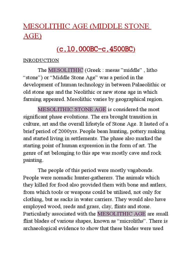 Overview of the Mesolithic Age | PDF | Stone Age | Paleolithic