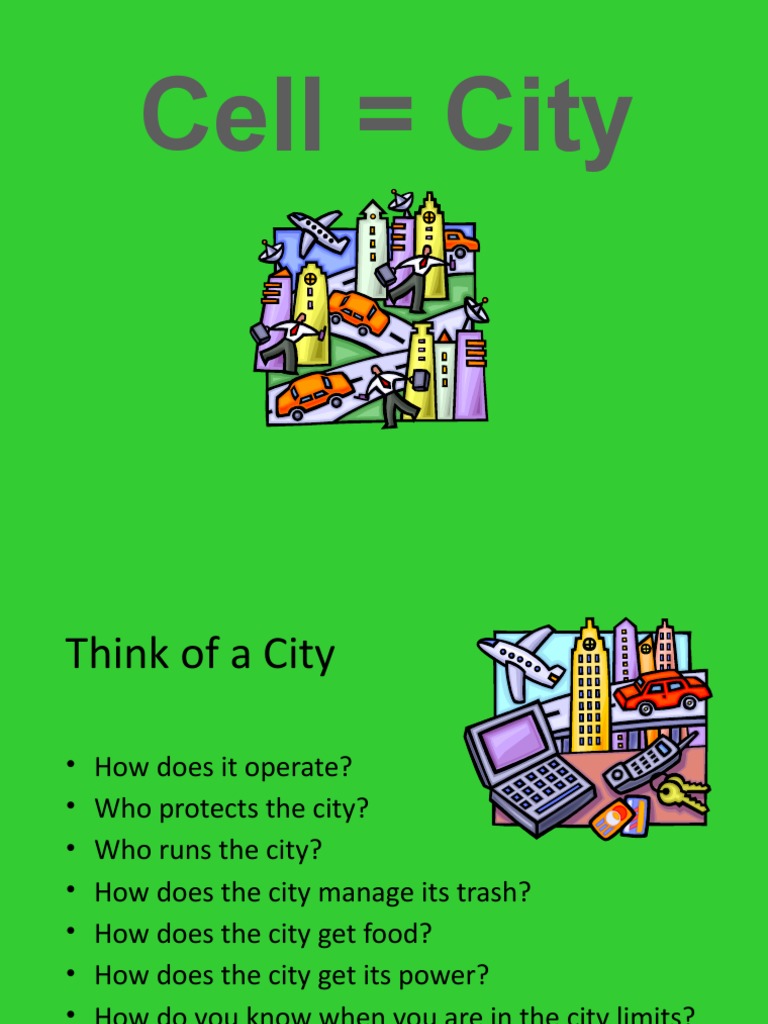 Cell City | PDF | Cell (Biology) | Endoplasmic Reticulum